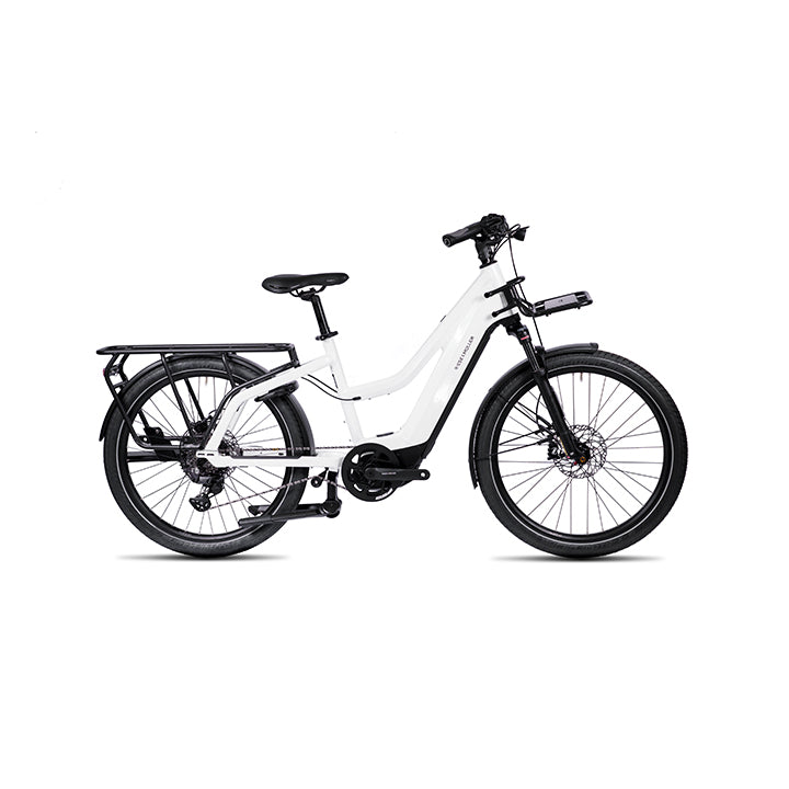 Riese & Müller – ecycles.it